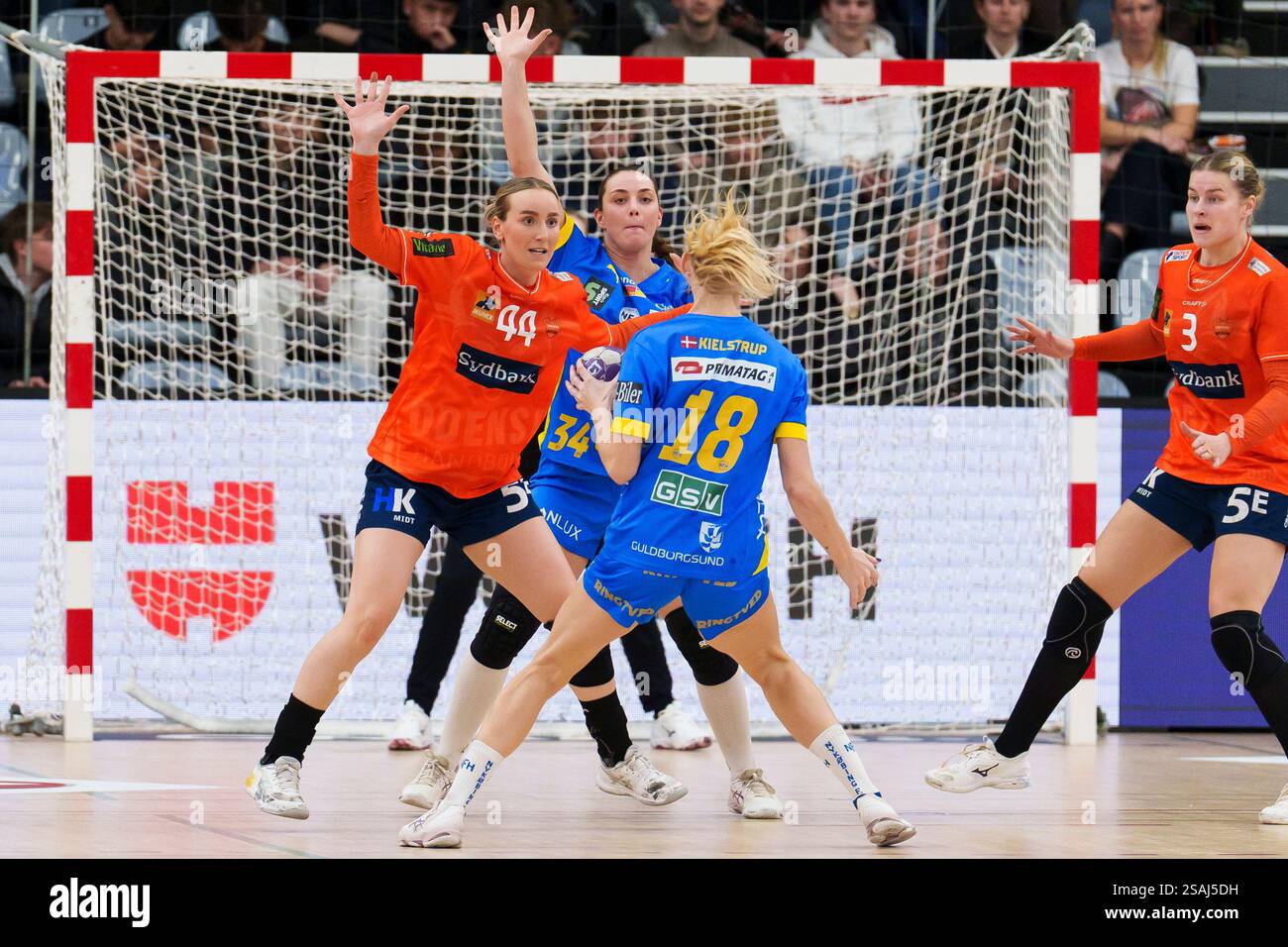 Odense, Denmark. 29th Jan, 2025. Nikita van der Vliet (44) of Odense ...