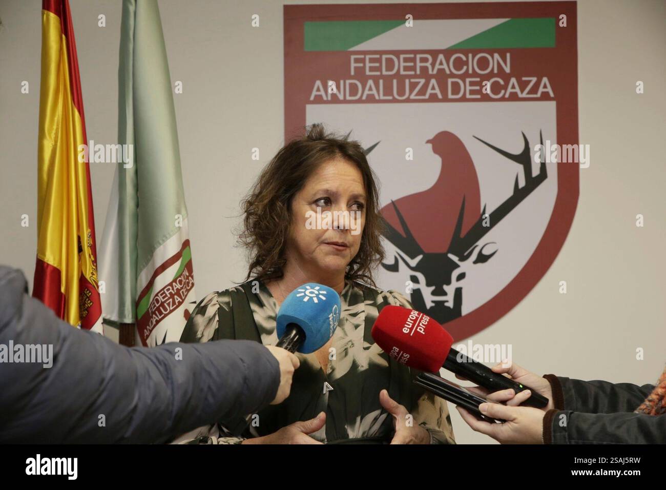 The Councilor for Sustainability and Environment of the Junta de ...