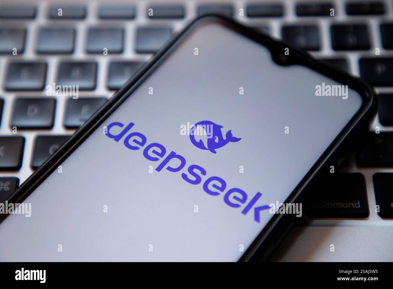 In this photo illustration, the DeepSeek logo is seen displayed on a ...
