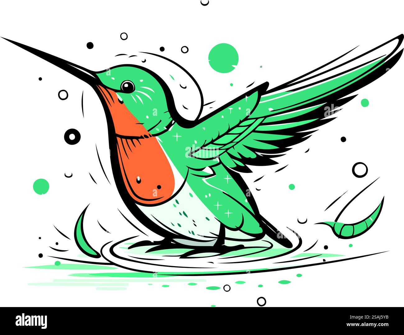 Hummingbird. Hand drawn vector illustration. Isolated on white ...