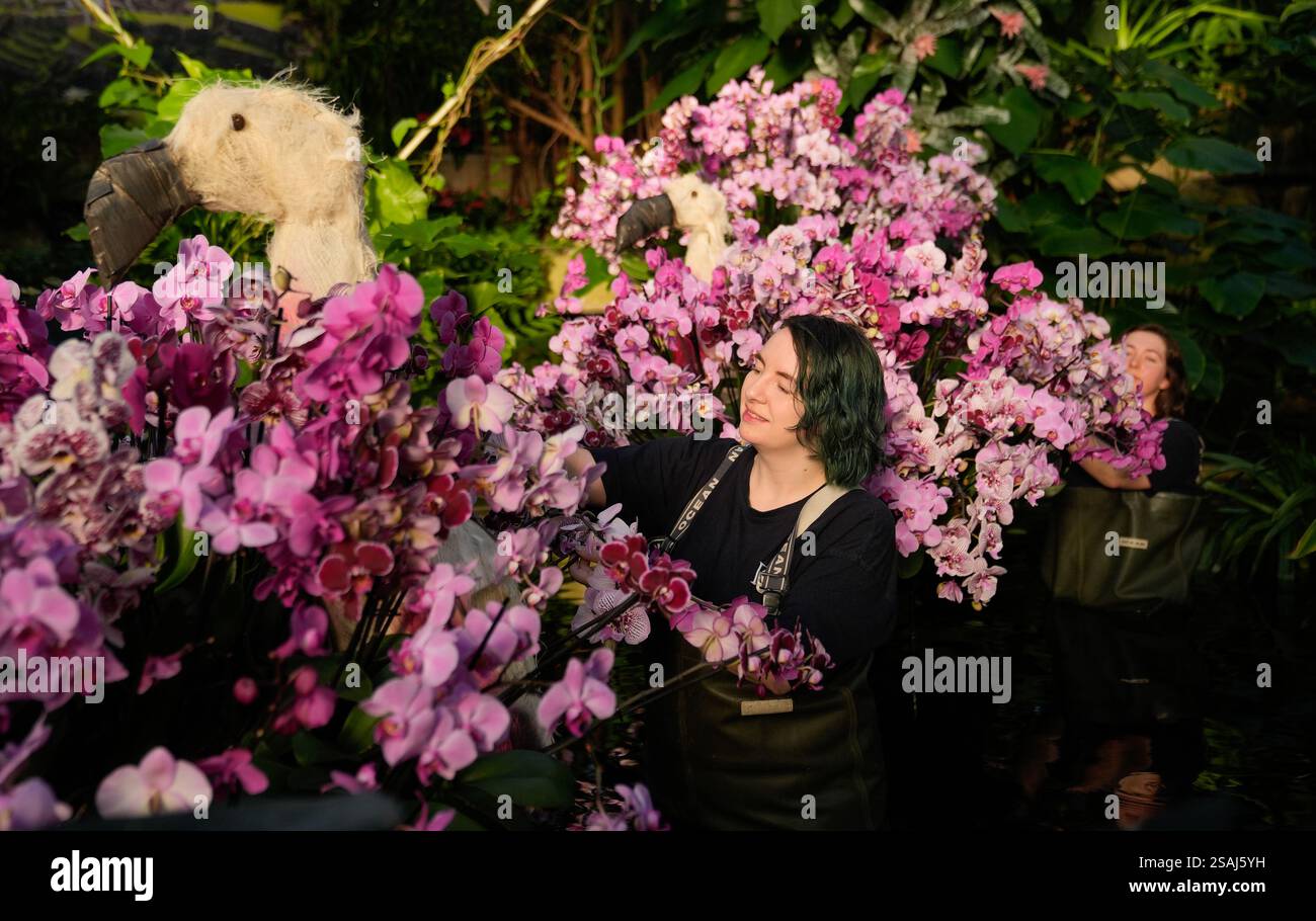 A horticulturist puts the finishing touches to a colourful display in ...