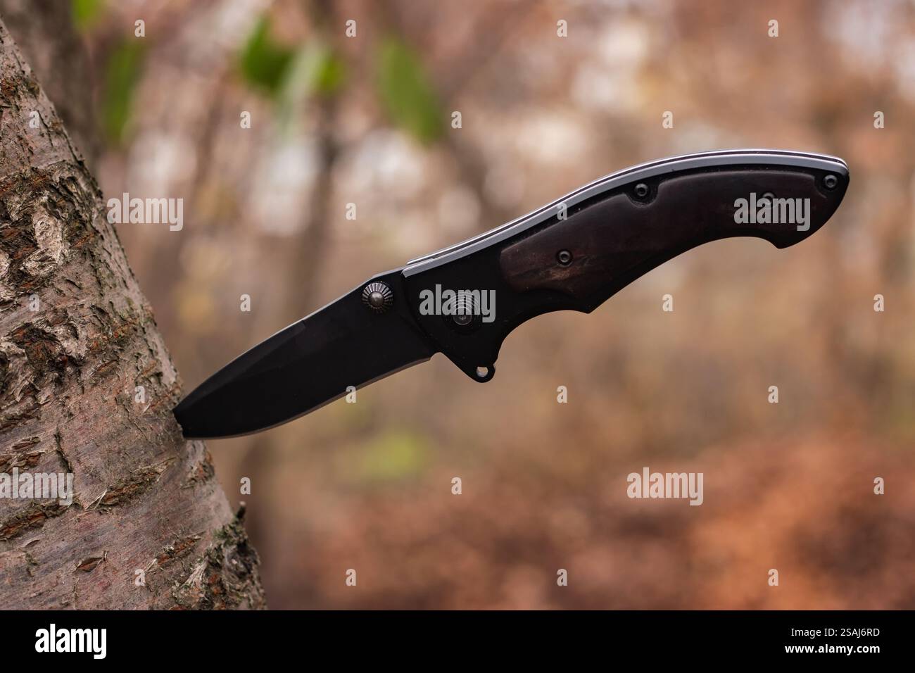 Tactical knife stuck in a tree stump in a forest Stock Photo - Alamy