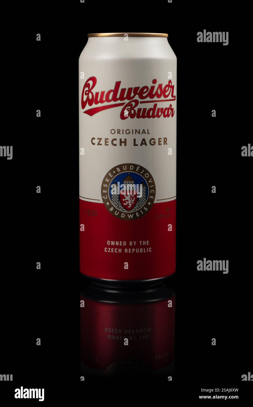 Dnipro, Ukraine 14 nov, 2023: Aluminium Budweiser Budvar lager beer in ...