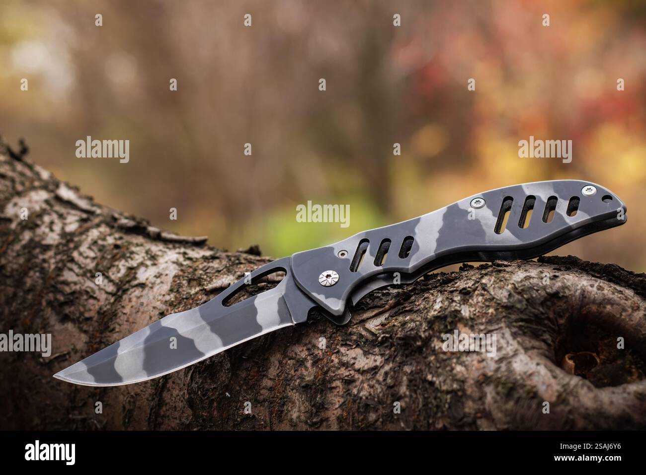 military tactical knife on tree in the forest Stock Photo - Alamy