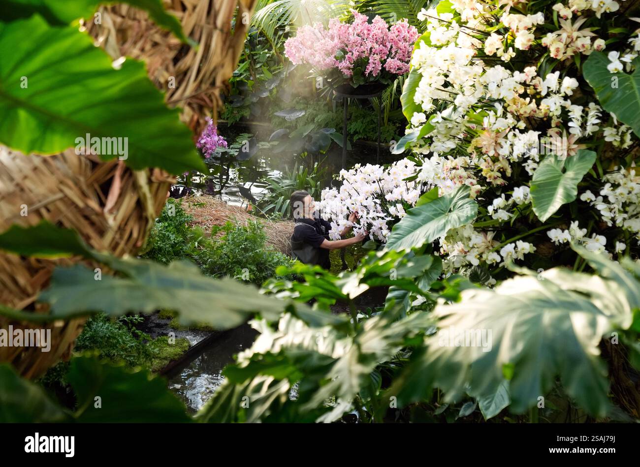 A horticulturist puts the finishing touches to a colourful display in ...