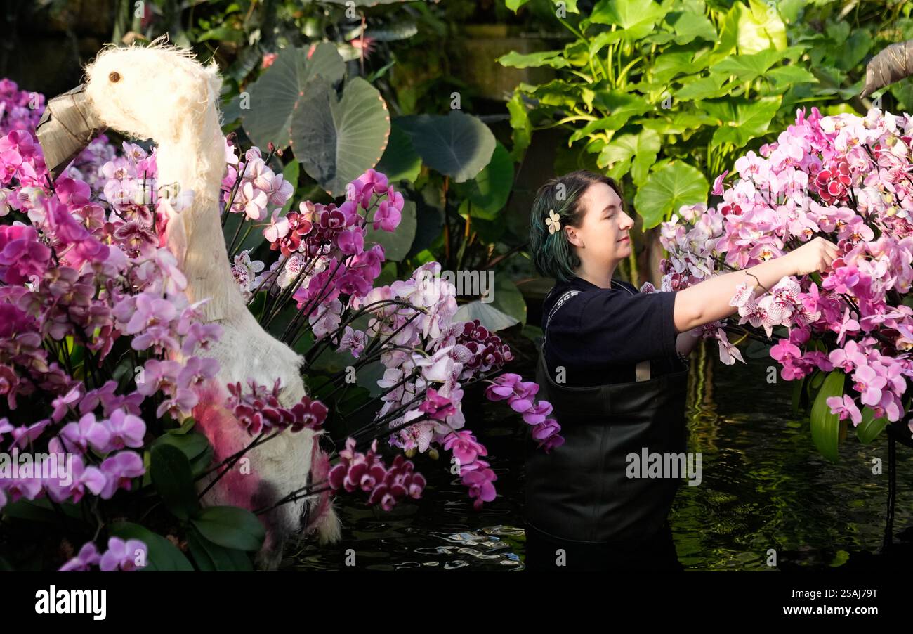 A horticulturist puts the finishing touches to a colourful display in ...