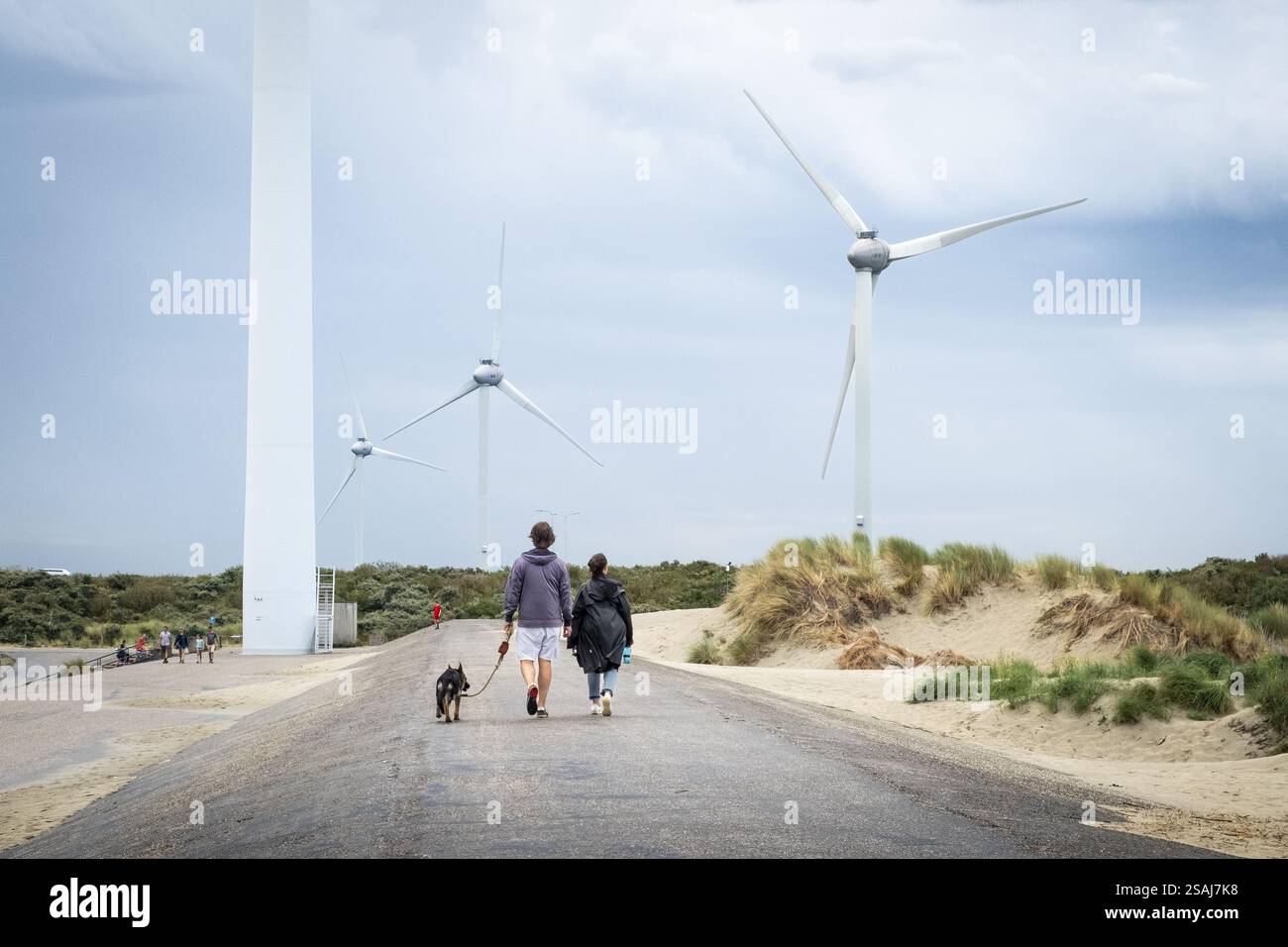 Zeeland, Eastern Scheldt. Windmills in the vicinity of the Eastern ...