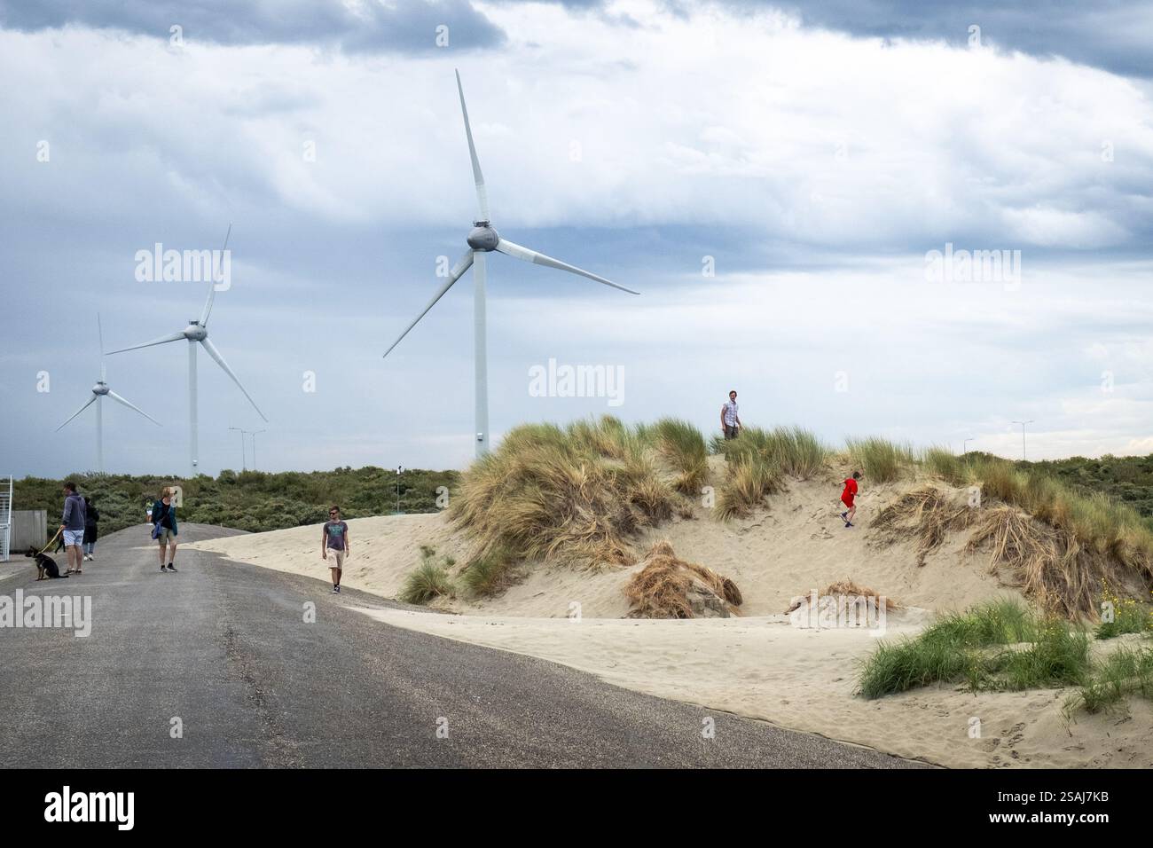 Zeeland, Eastern Scheldt. Windmills in the vicinity of the Eastern ...