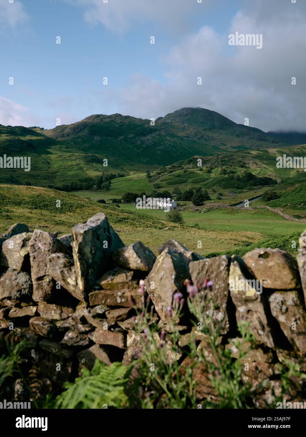 The Lake District summer landscape with white farmhouse and dry stone ...
