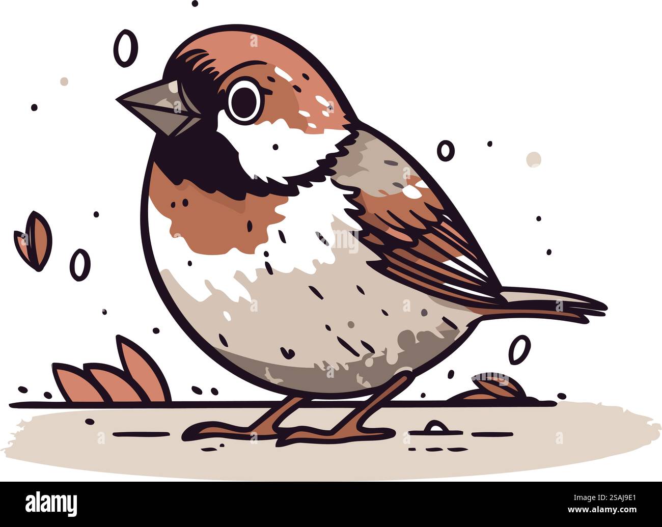 Sparrow. Hand drawn vector illustration. Isolated on white background ...