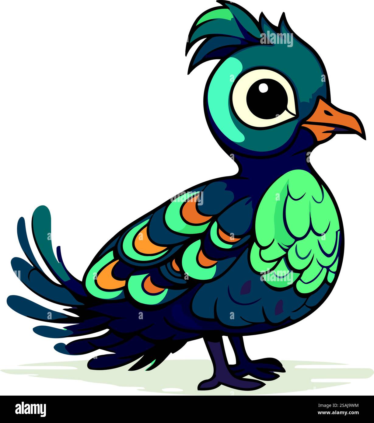 Cartoon peacock. Vector illustration isolated on a white background ...