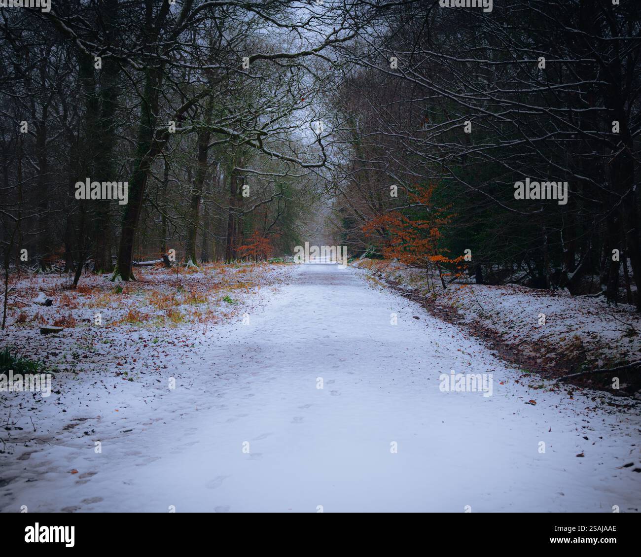 Atmosphere through snow covered hi-res stock photography and images - Alamy