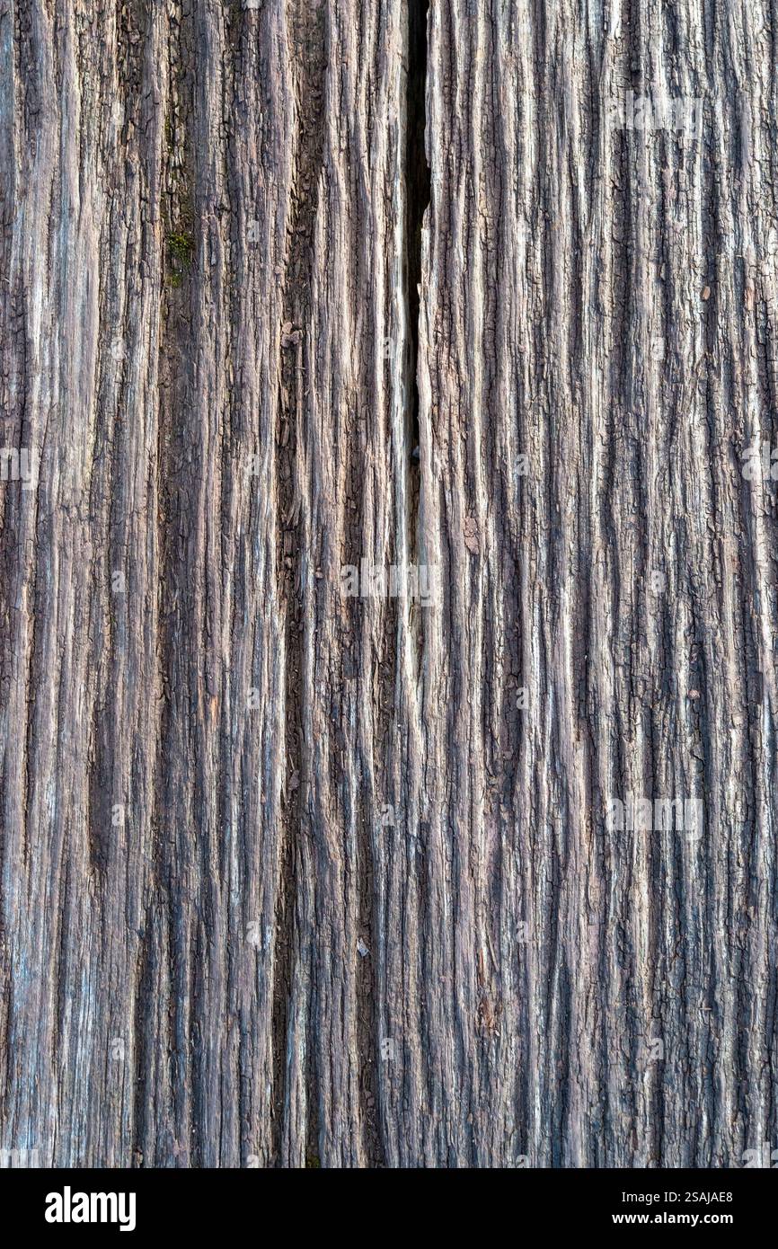 Heavily weathered full frame wooden timber background Stock Photo - Alamy