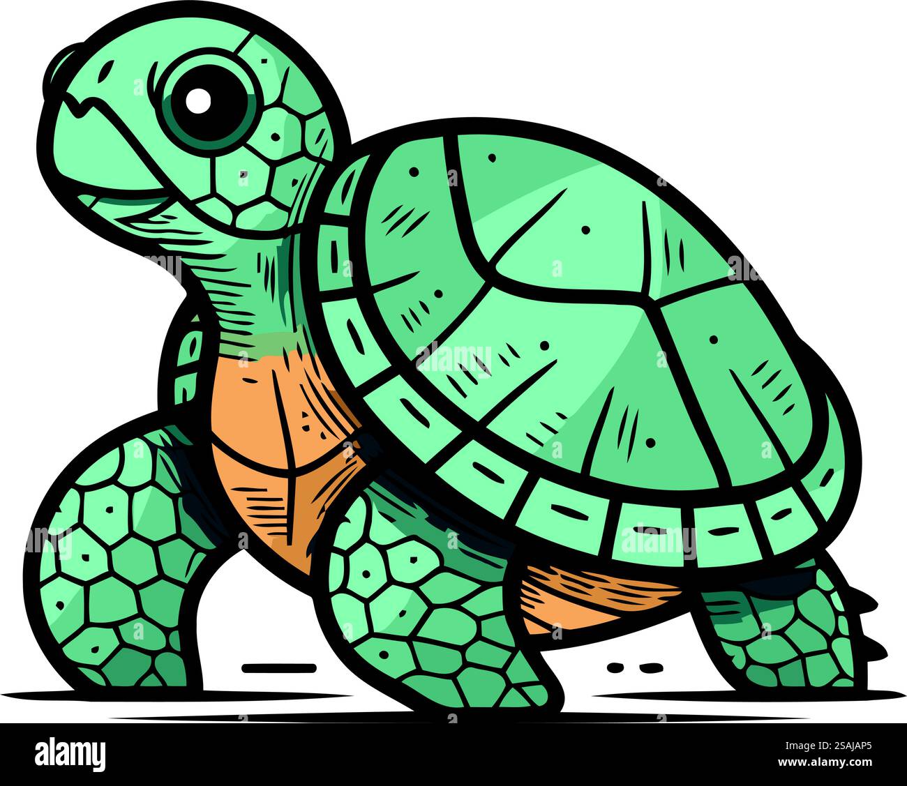 Turtle vector illustration. Cartoon sea animal. Vector illustration of ...