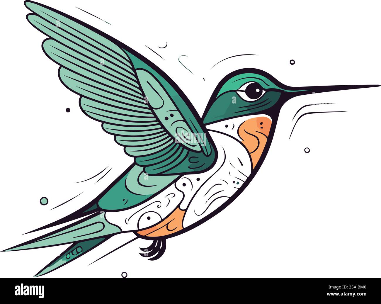 Vector hand drawn illustration of a hummingbird. Isolated on white ...