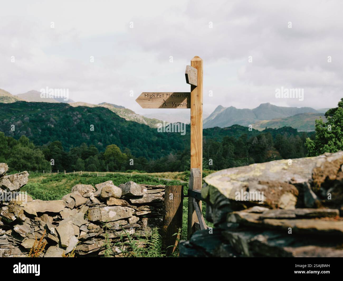 A dry stone wall and public footpath sign to High Fell Plantation near ...