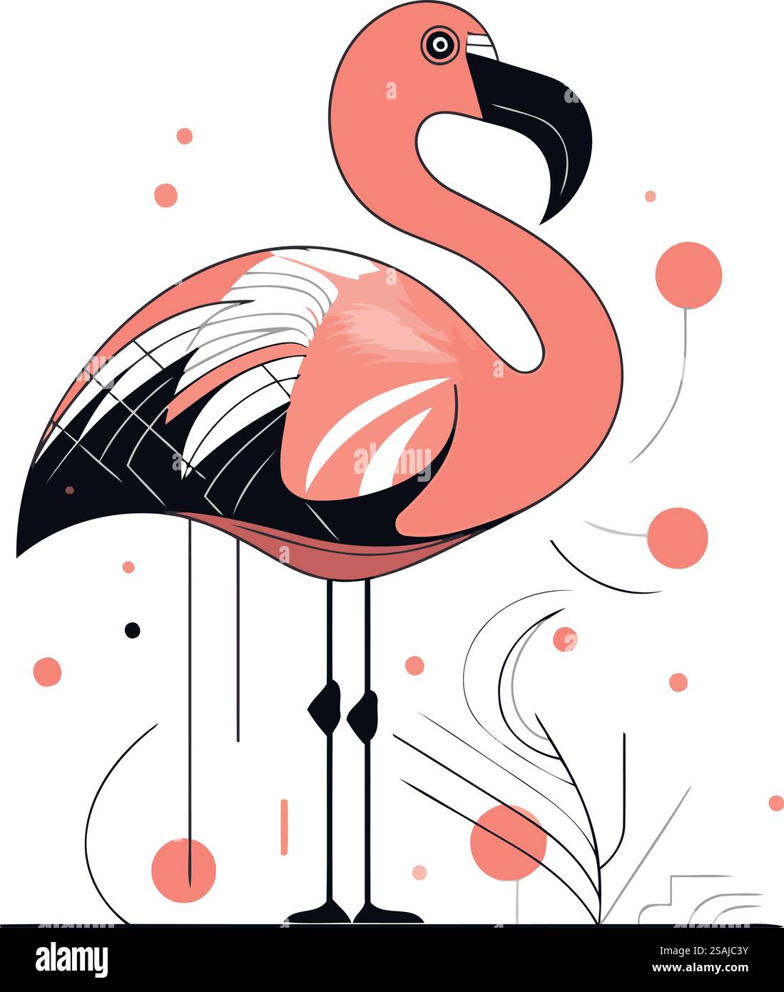 Flamingo. Flamingo vector illustration. Exotic bird Stock Vector Image ...