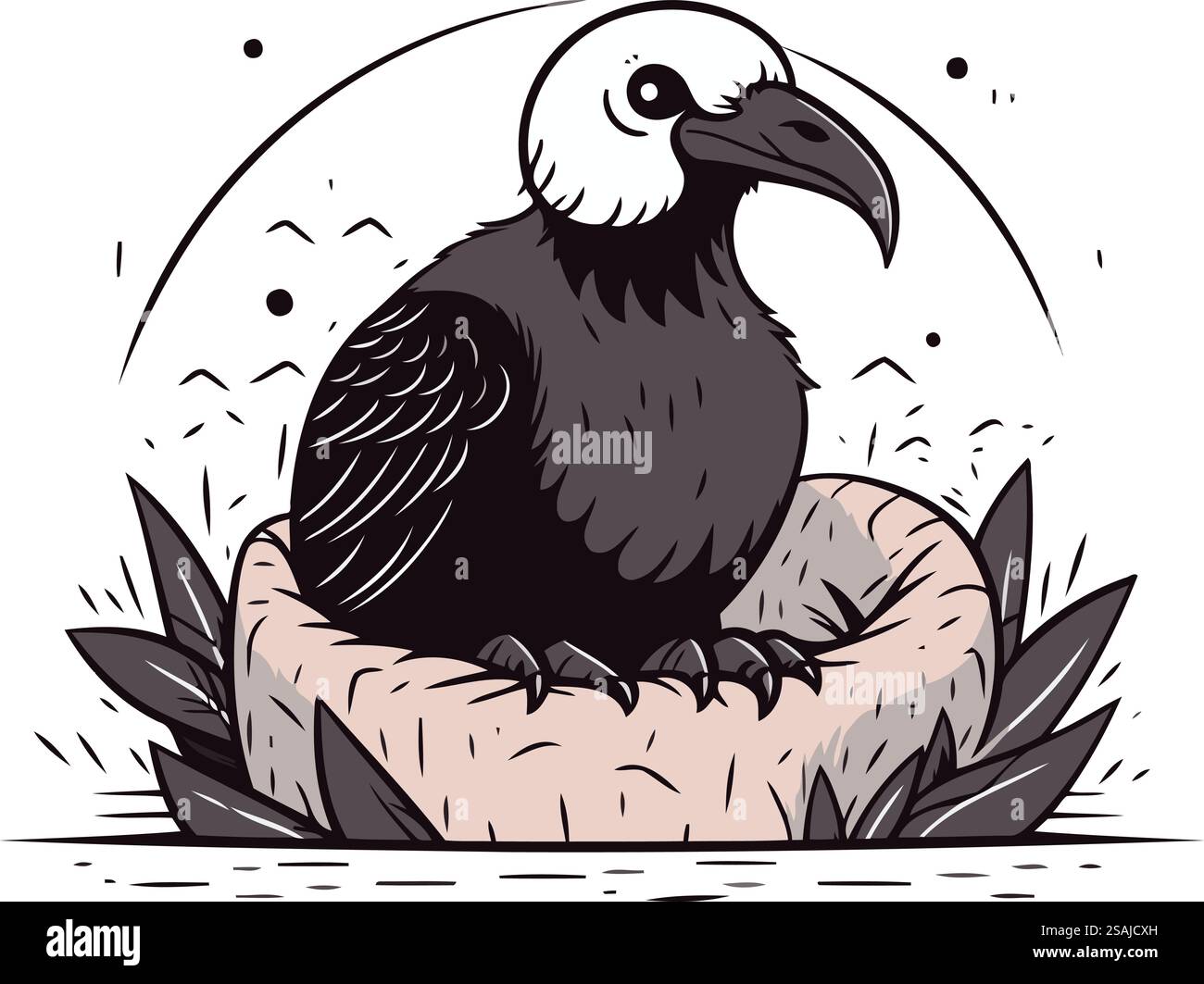 Crow sitting in a nest. Vector illustration on white background Stock ...