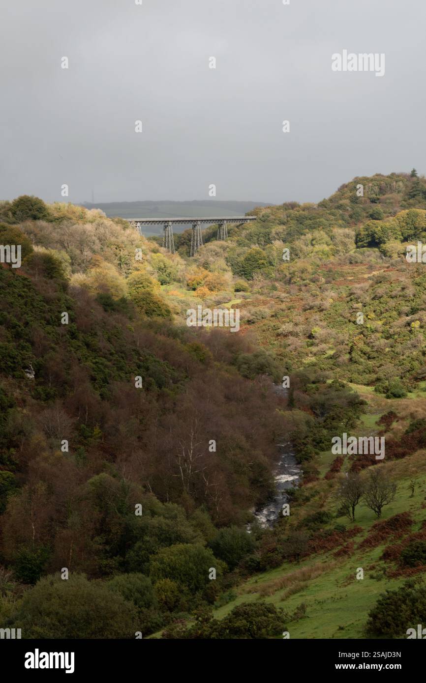 Meldon Viaduct and the West Okement Valley, Devon, England Stock Photo ...