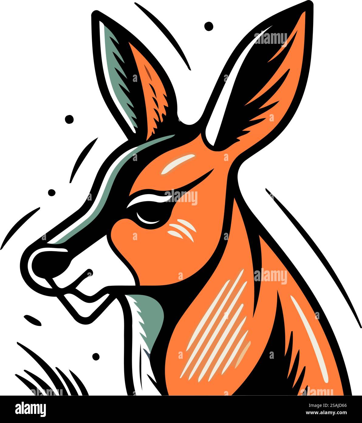 Funny kangaroo head vector illustration isolated on white background ...