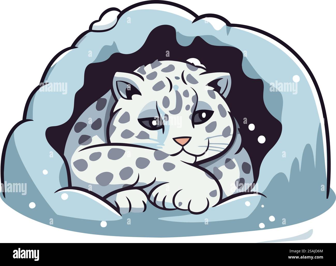 Snow leopard wild cute Cut Out Stock Images & Pictures - Alamy