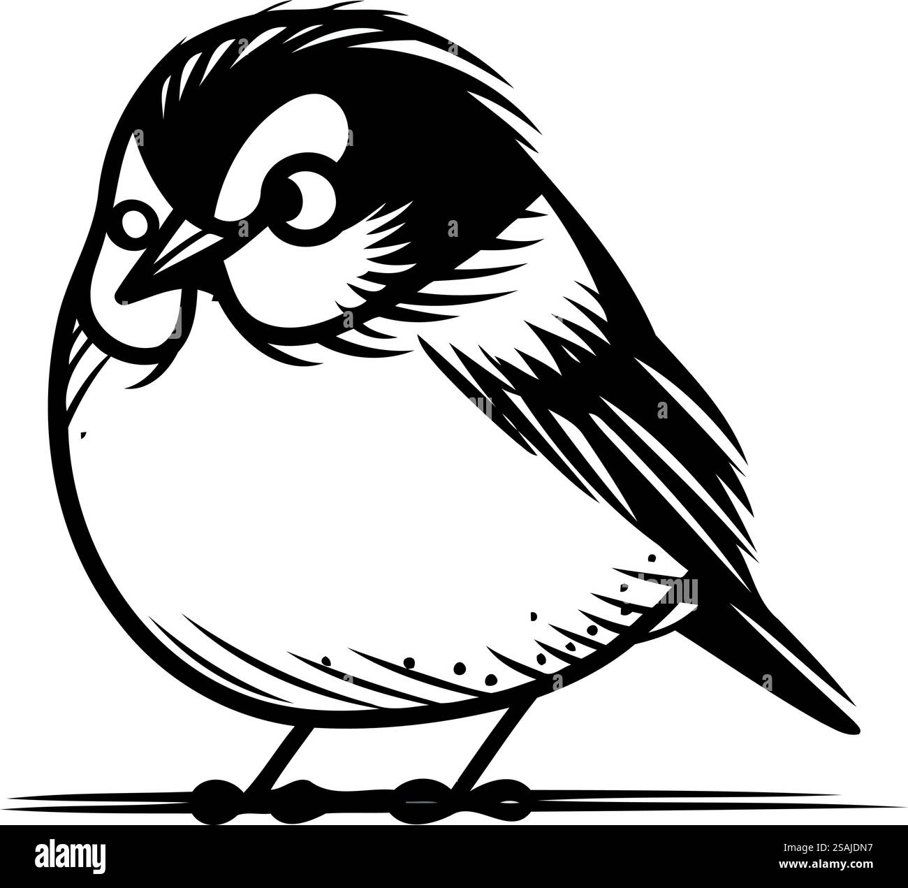 Bullfinch black and white vector illustration isolated on white ...