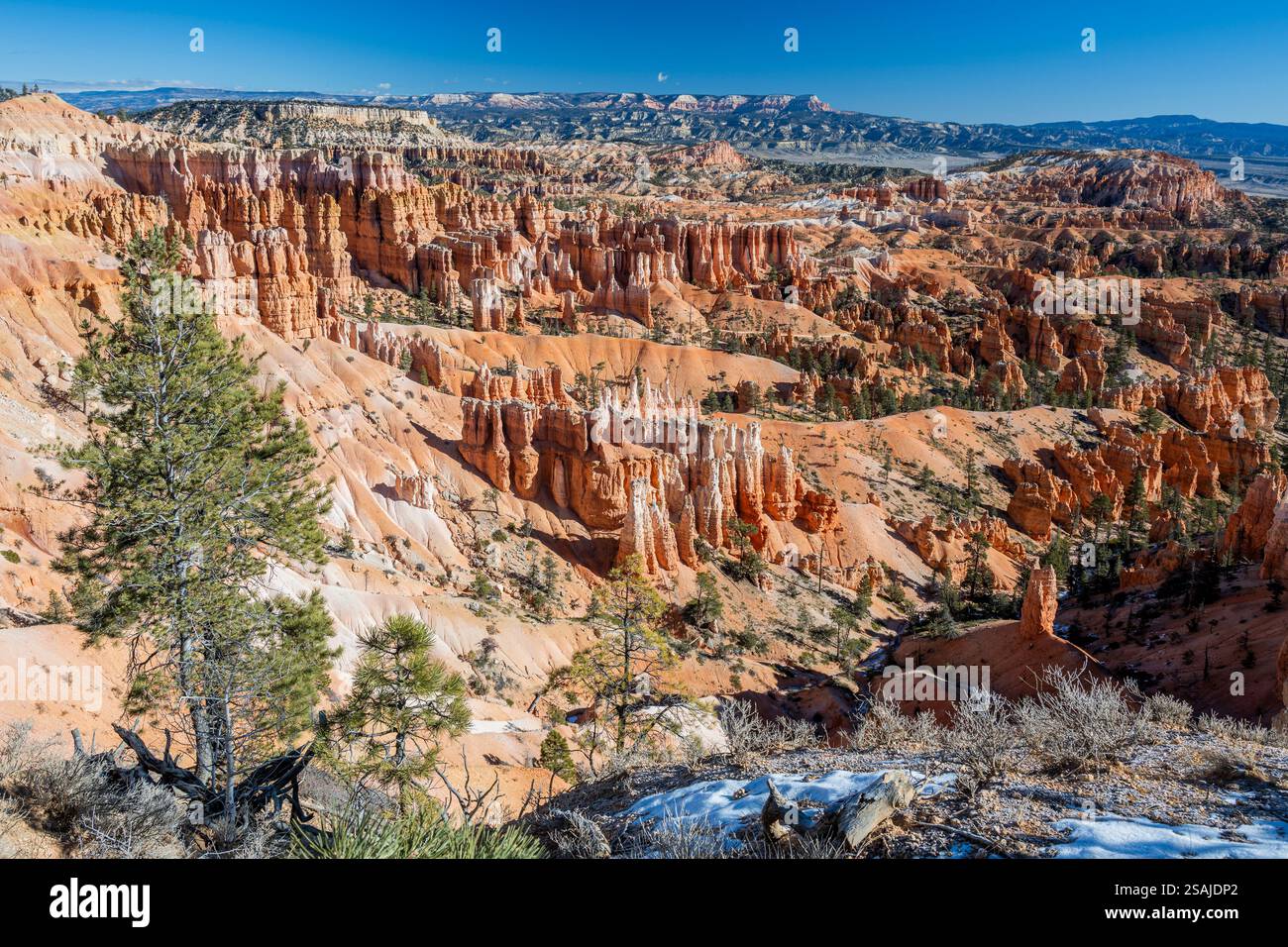 View over the Amphitheatre, Bryce Canyon National Park, Utah, USA Stock ...