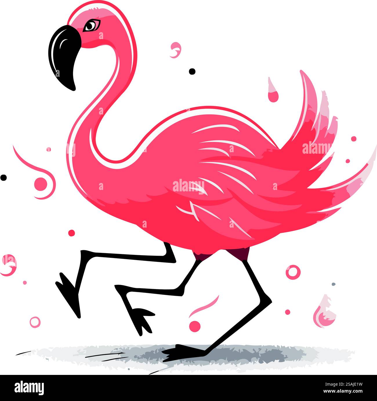 Flamingo running. Vector illustration. Isolated on white background Stock Vector Image & Art - Alamy