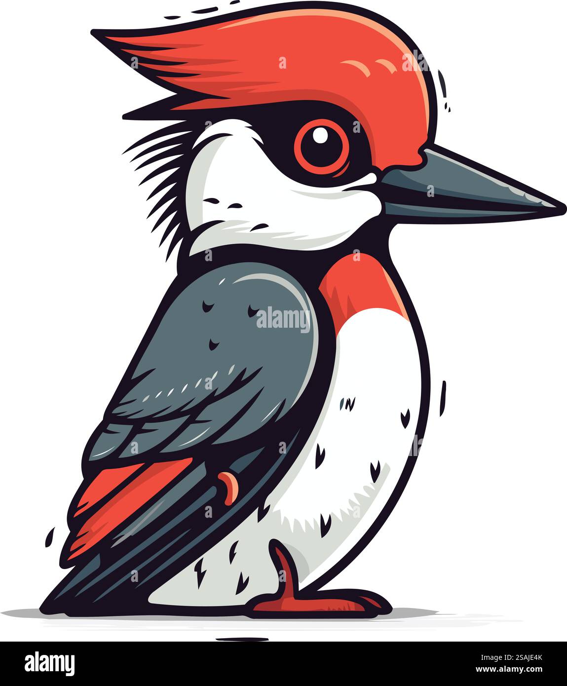 Cartoon Woodpecker isolated on white background. Vector illustration ...