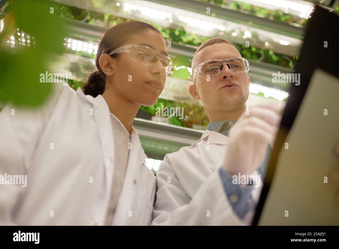 Two scientists wearing white lab coats and safety goggles examining ...