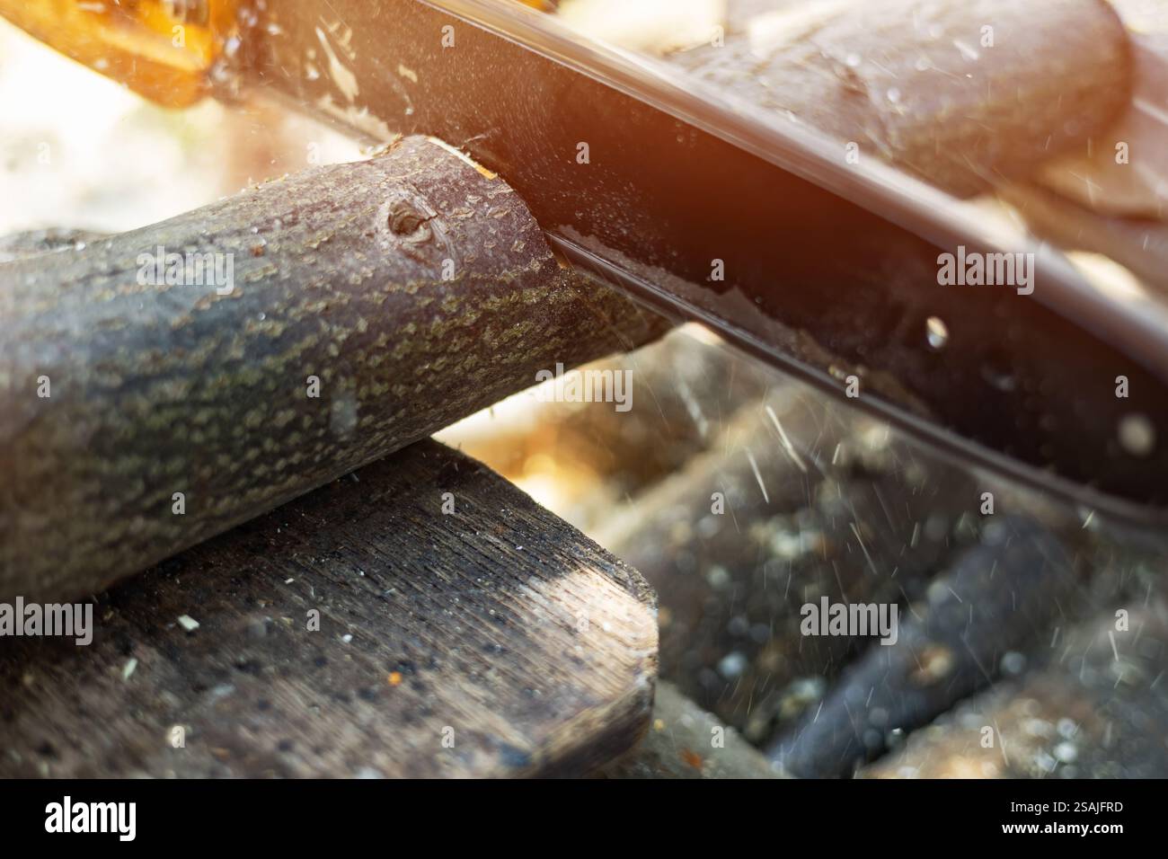 Chainsaw. Close-up of woodcutter sawing chain saw in motion, sawdust ...