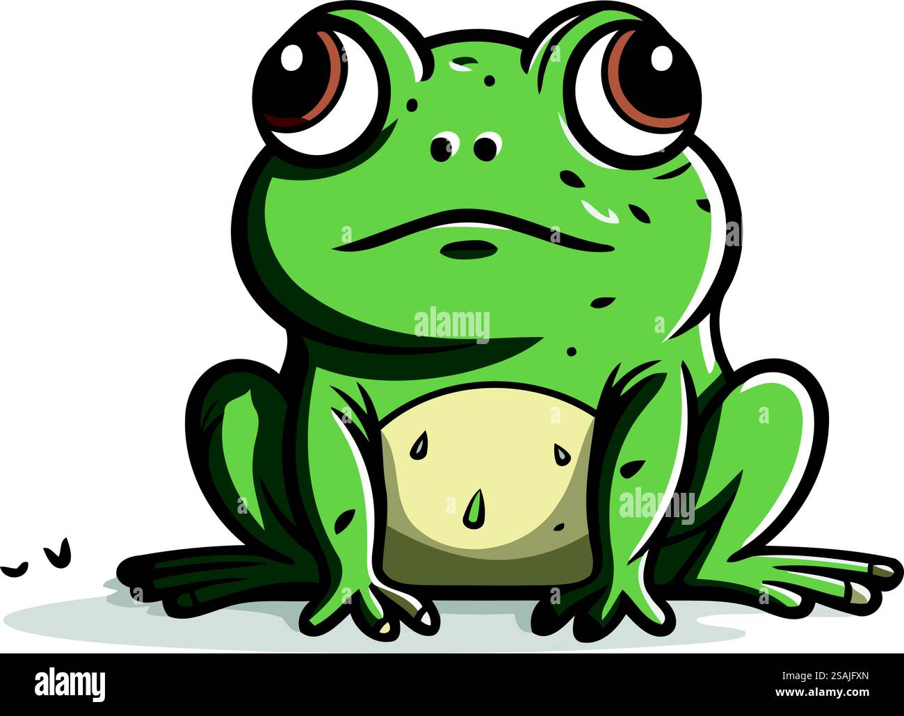 Frog looking into the camera Stock Vector Images - Alamy