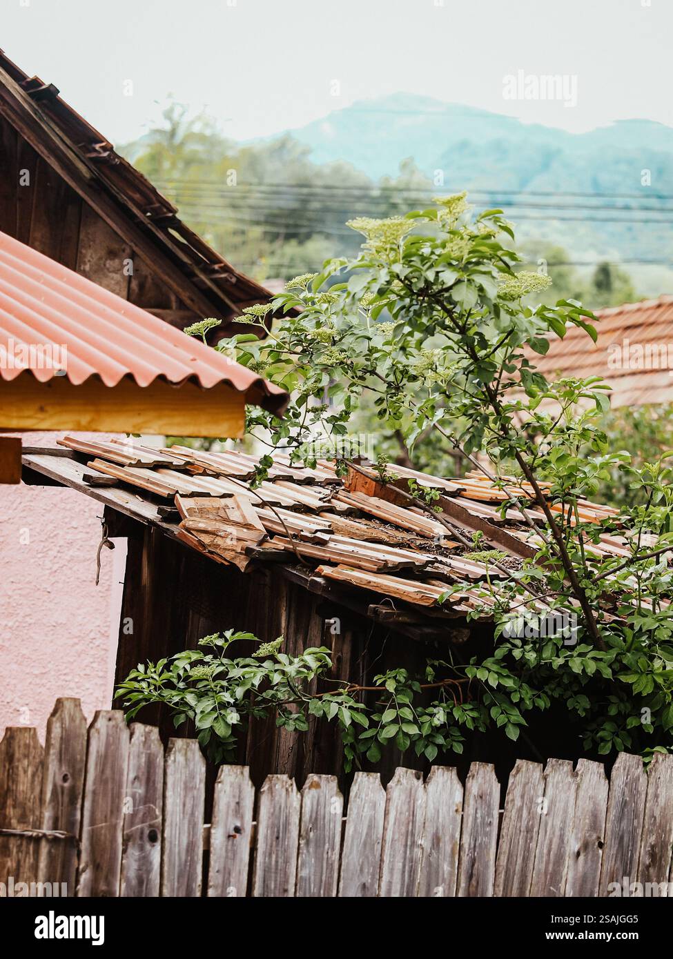 Collapsing Wooden House With A Broken Roof And Crumbling Walls: An ...