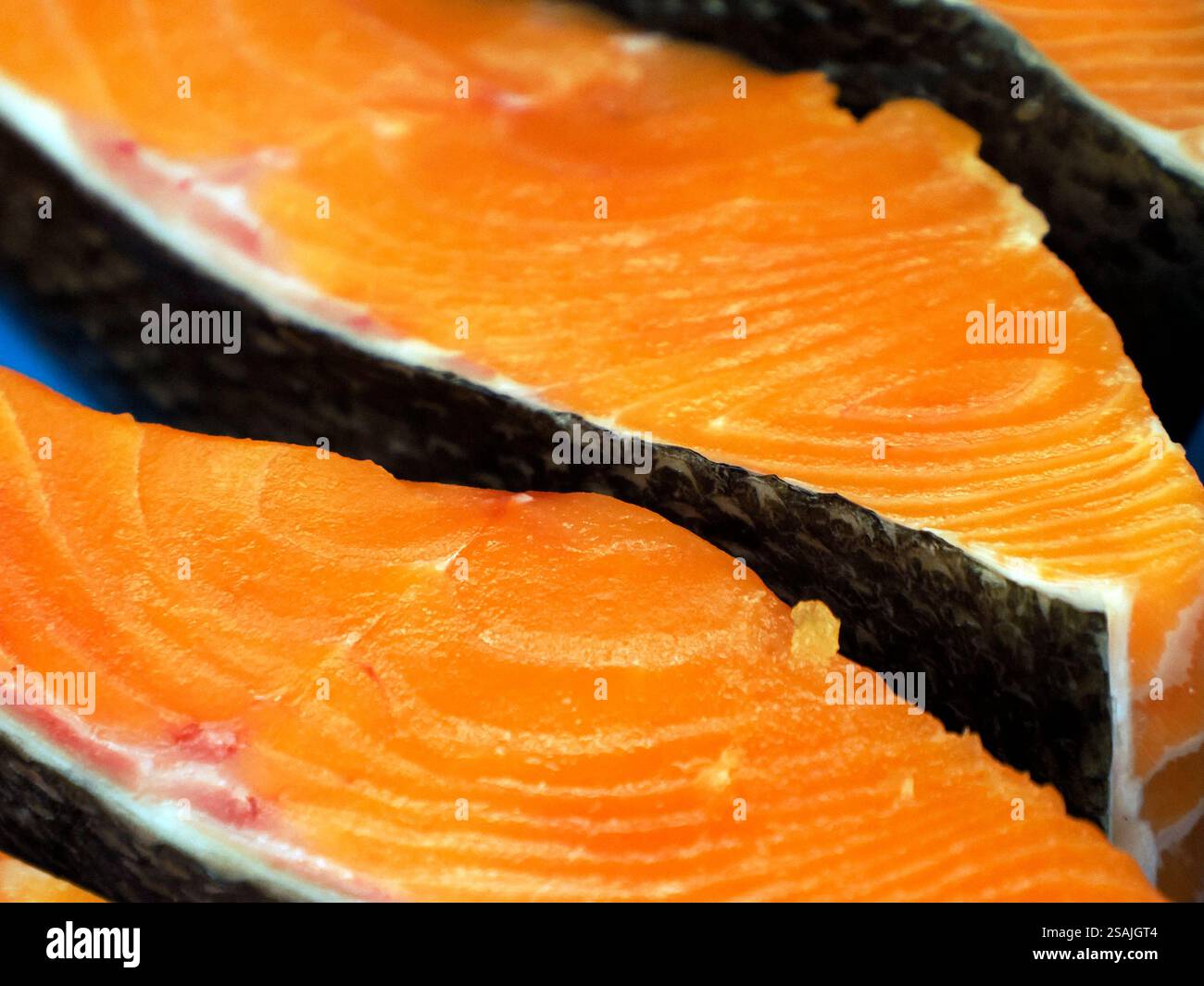 Salmon Sea Food Seafood for sale at Findlay market cincinnati detail ...
