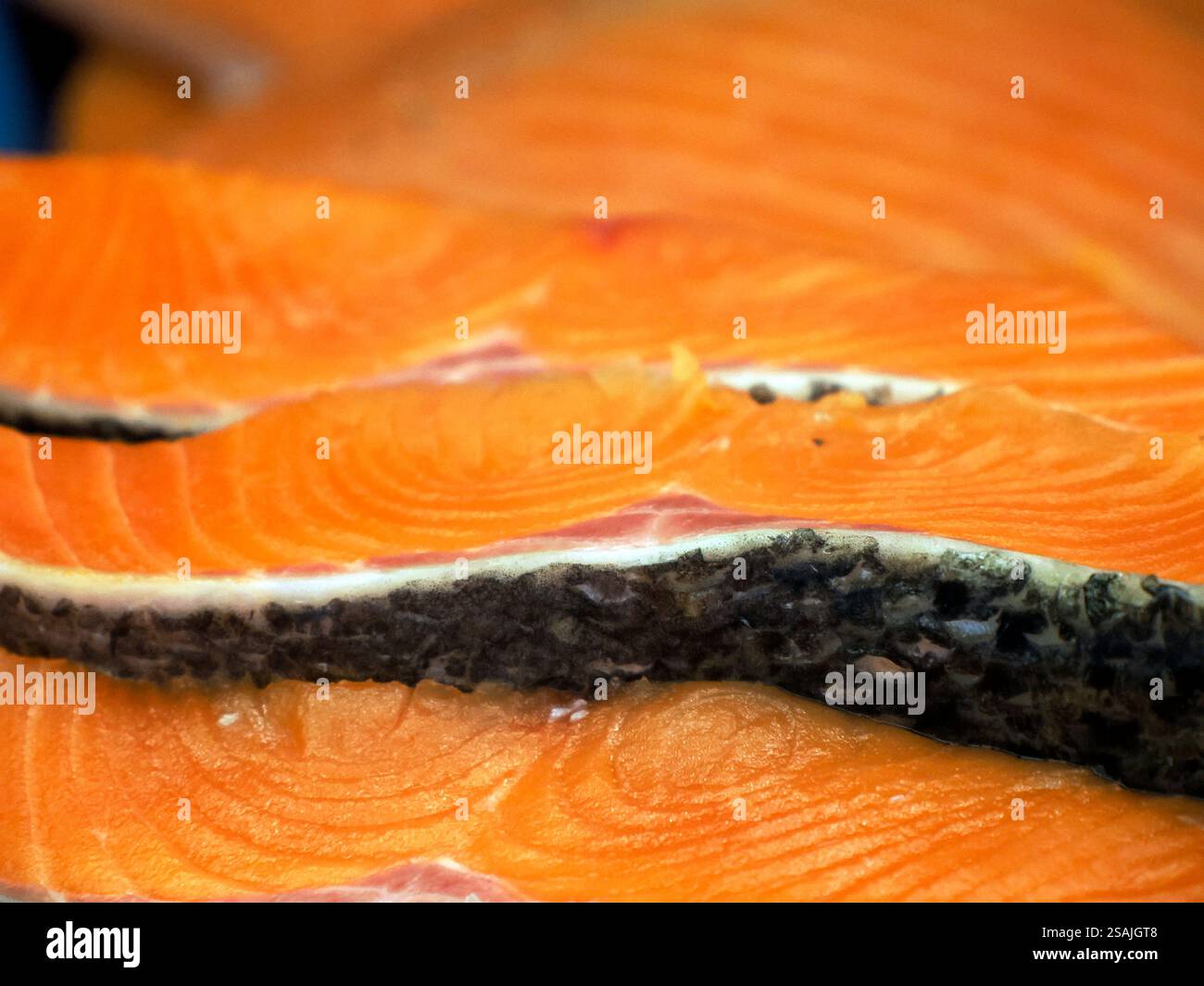 Salmon Sea Food Seafood for sale at Findlay market cincinnati detail ...