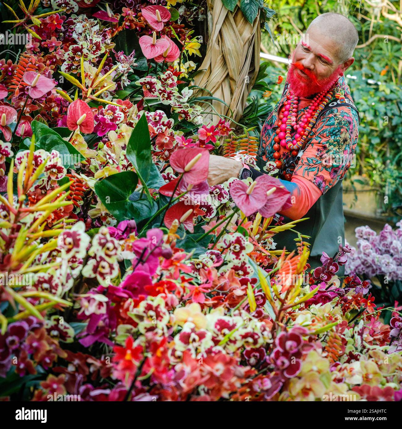 London, UK. 30th Jan, 2025. Kew horticulturists, here Kew Ambassador ...