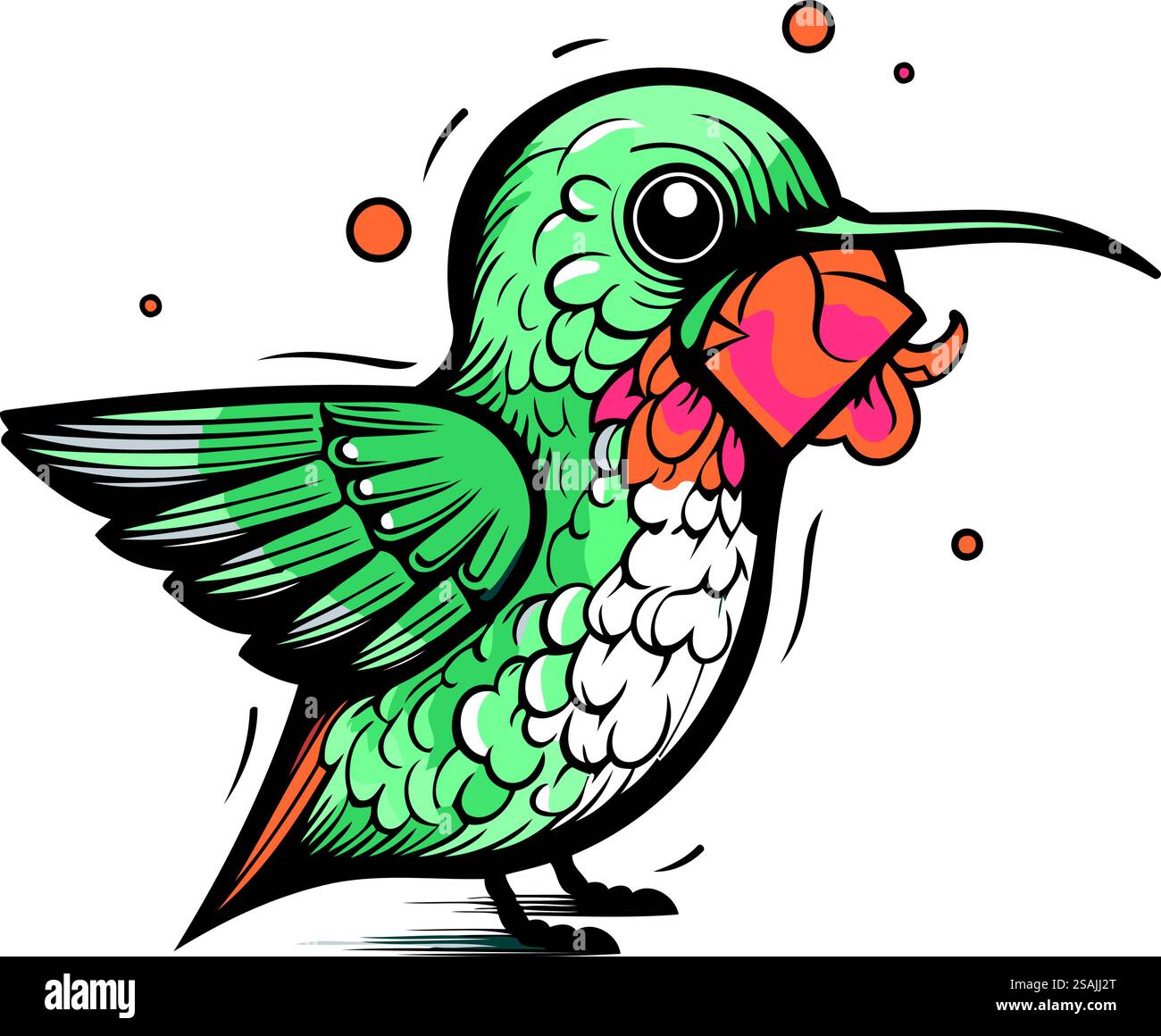 Hummingbird cartoon vector illustration. Isolated on white background ...