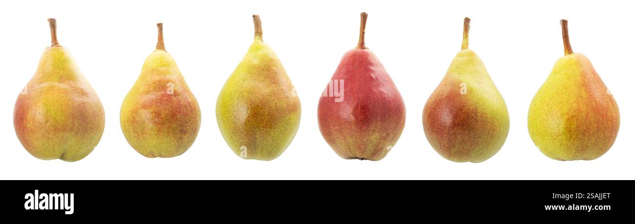 Collection of pears isolated white background Stock Photo - Alamy