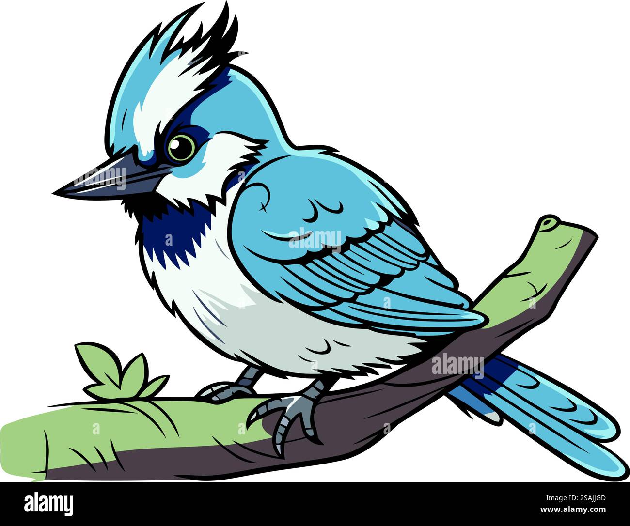 Blue jay bird on a branch. Vector illustration in cartoon style Stock ...
