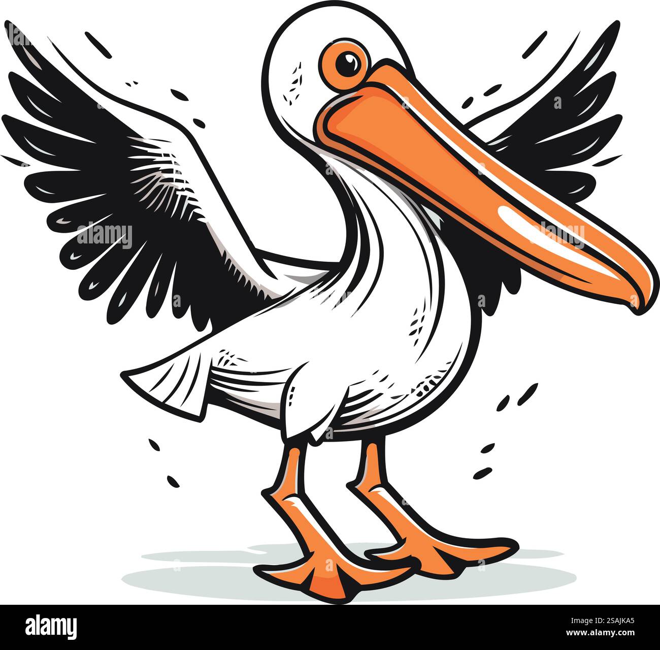 Flying pelican vector illustration isolated on white background ...