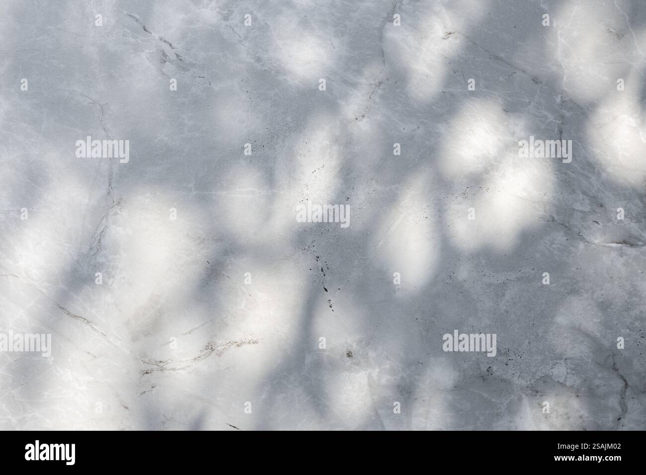 Abstract natural tree leaves shadow on white wall background Stock ...