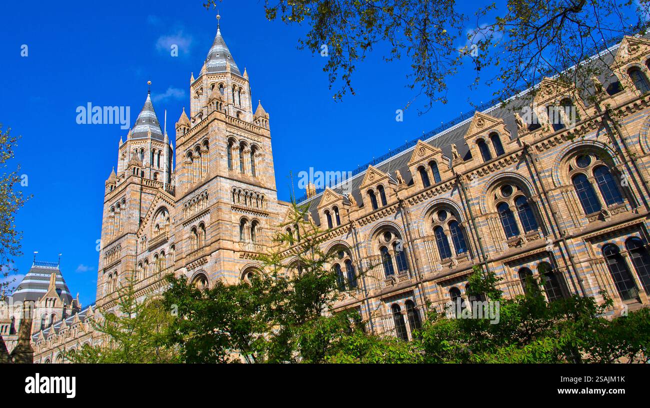 Natural History Museum, London, England, Great Britain, Europe Stock ...