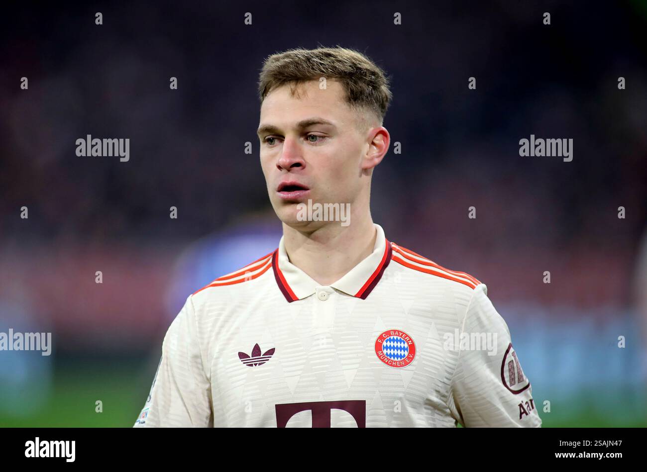 München, Deutschland, 29. Januar 2025: Fussball, Herren, Champions ...