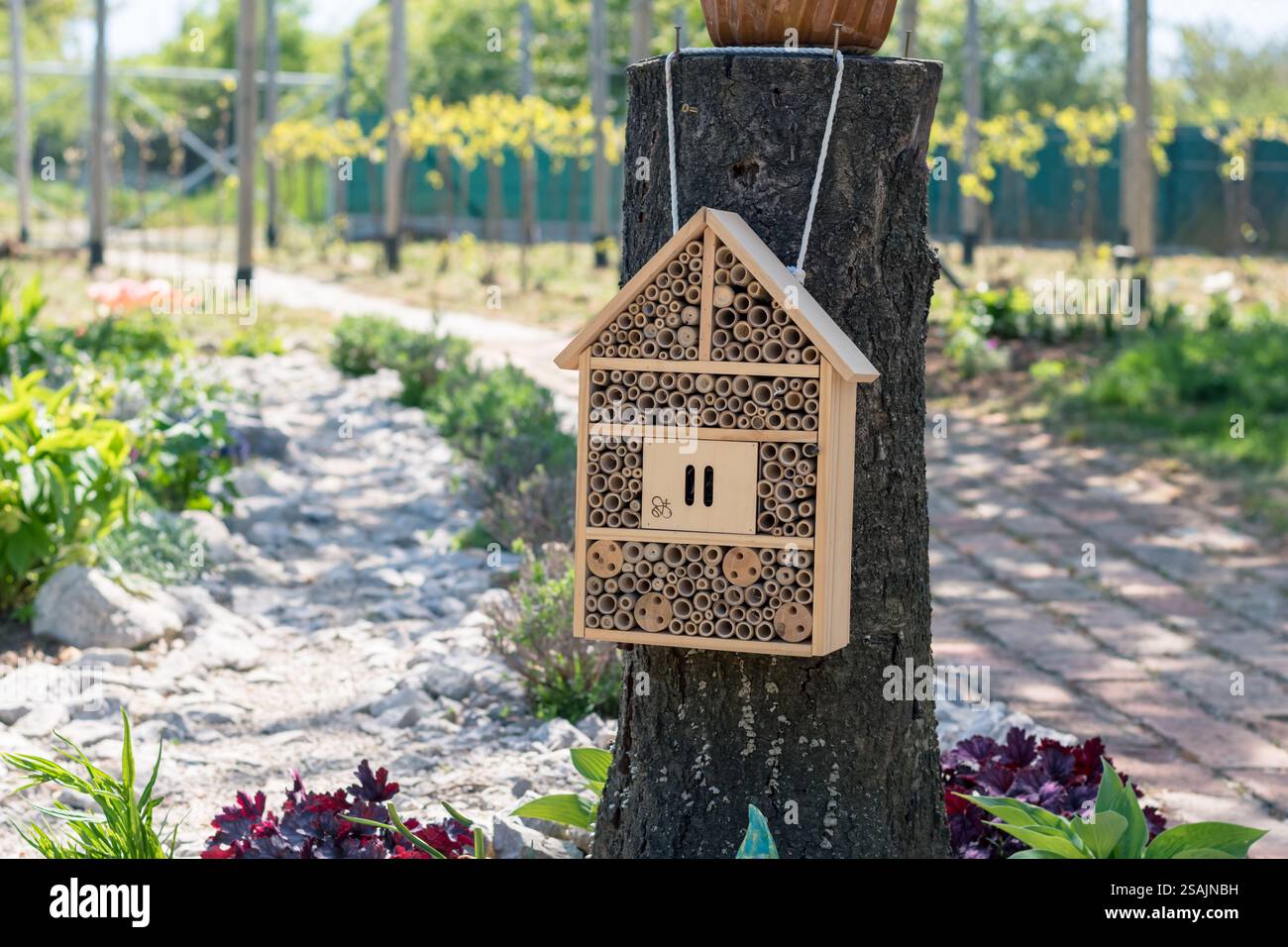 insect house for bugs in the garden Stock Photo - Alamy