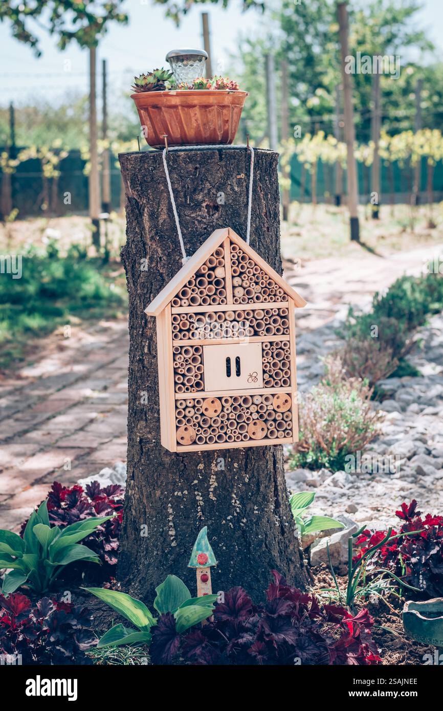 insect house for bugs in the garden Stock Photo - Alamy