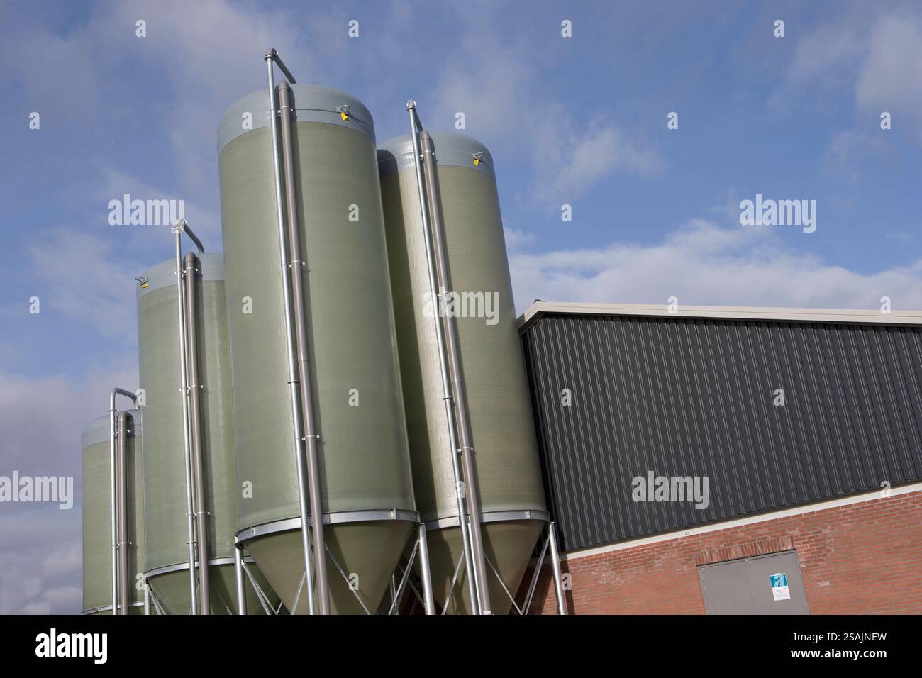 New built pig barn with feed silos. Pig breeding. Pigs and piglets in ...