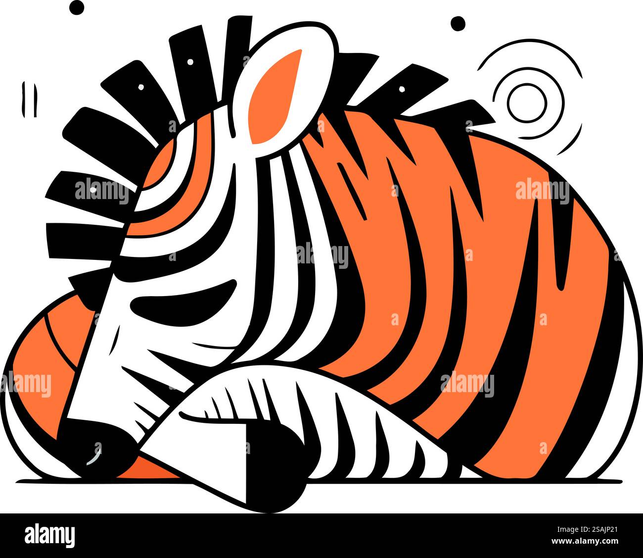 Zebra vector illustration. Isolated on white background. Vector illustration Stock Vector Image ...