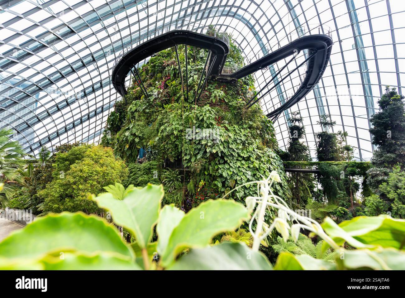 Cloud Forest, a conservatory complex in Singapore giving you the ...