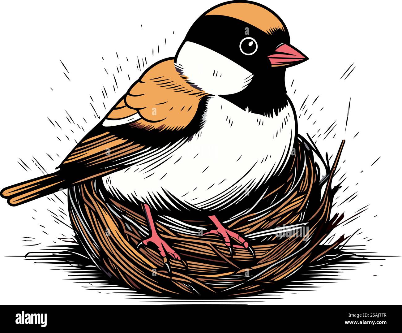 Chickadee in the nest. Hand drawn vector illustration Stock Vector ...