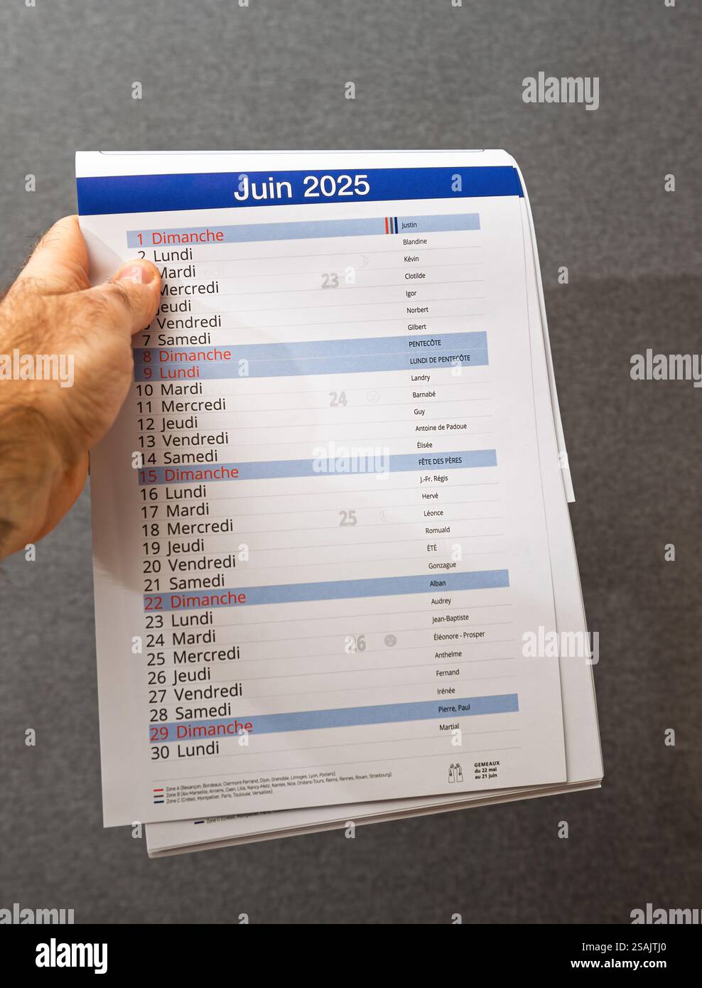 Monthly calendar for June 2025, showing days, weeks, public holidays ...